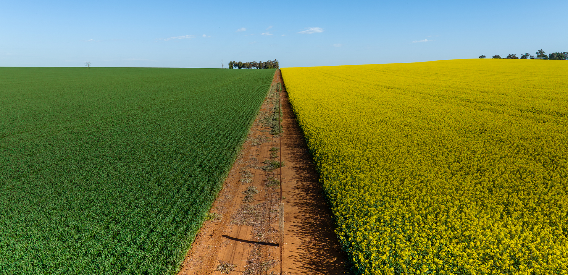 bioagphos-cropping - BioAg